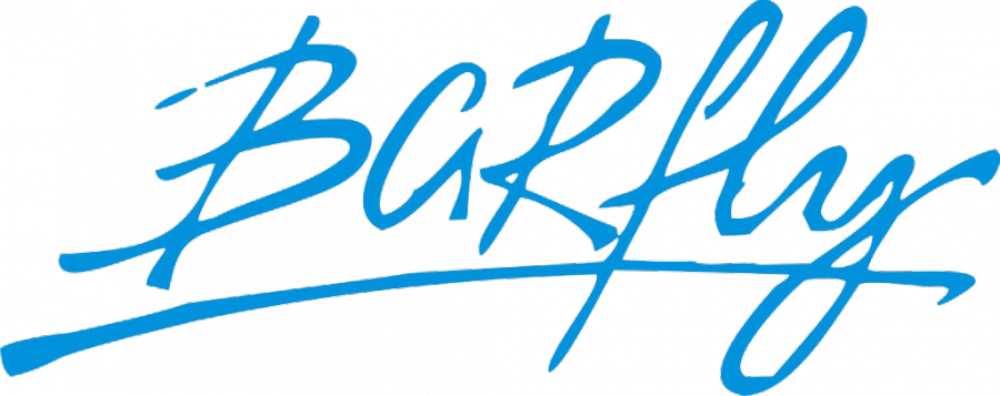 Café Barfly – Politik in Spandau